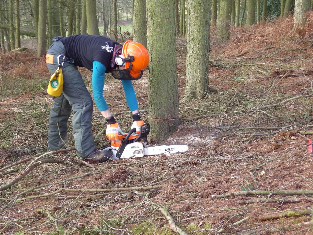 City & Guilds NPTC Level 3 Award in Felling & Processing Trees over 38 ...